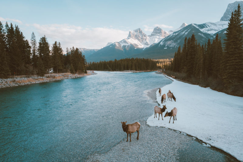 13 Things to Do in Canmore in Winter - Voyage & Venture