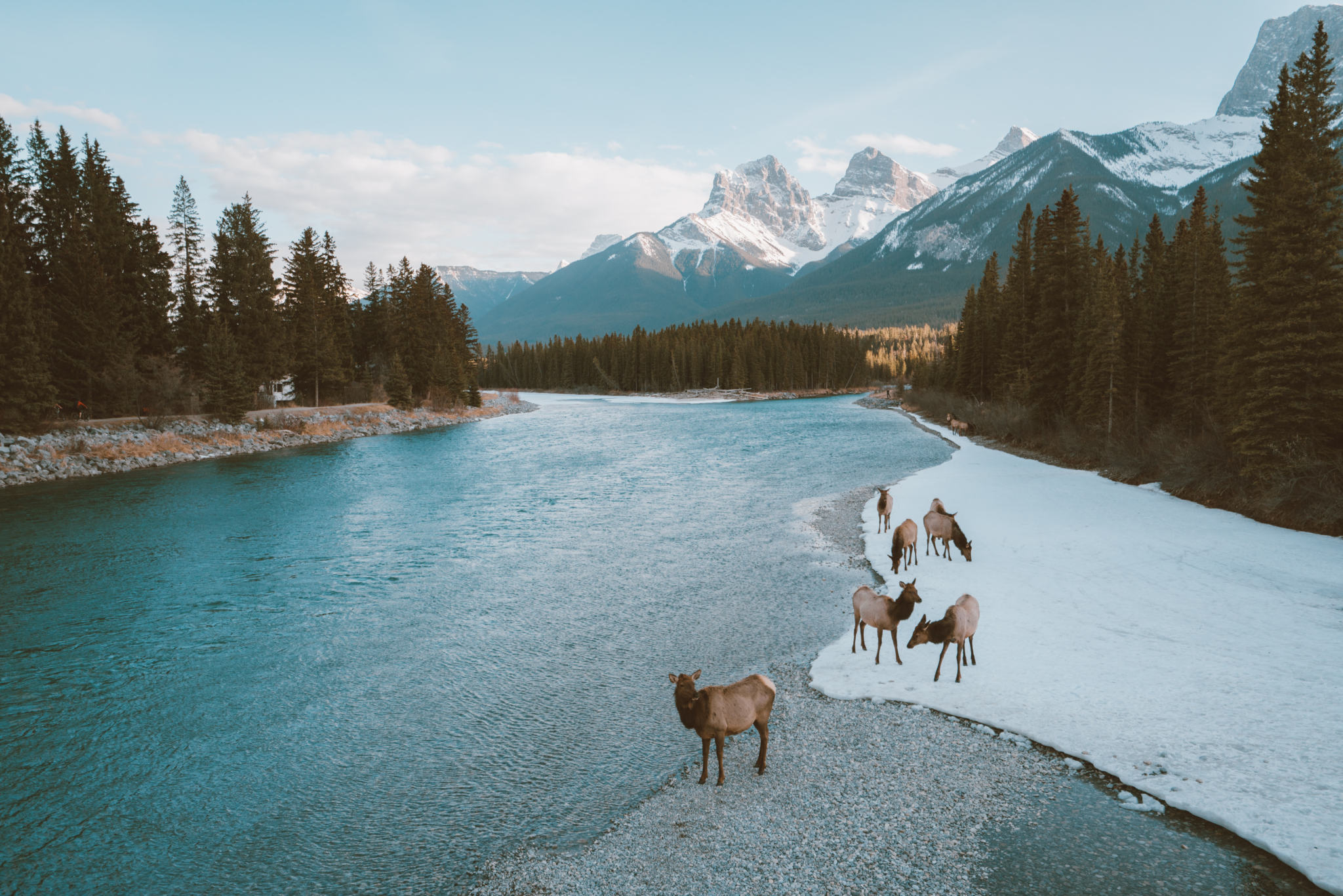How to Spend a Spring Long Weekend in Banff - Voyage & Venture