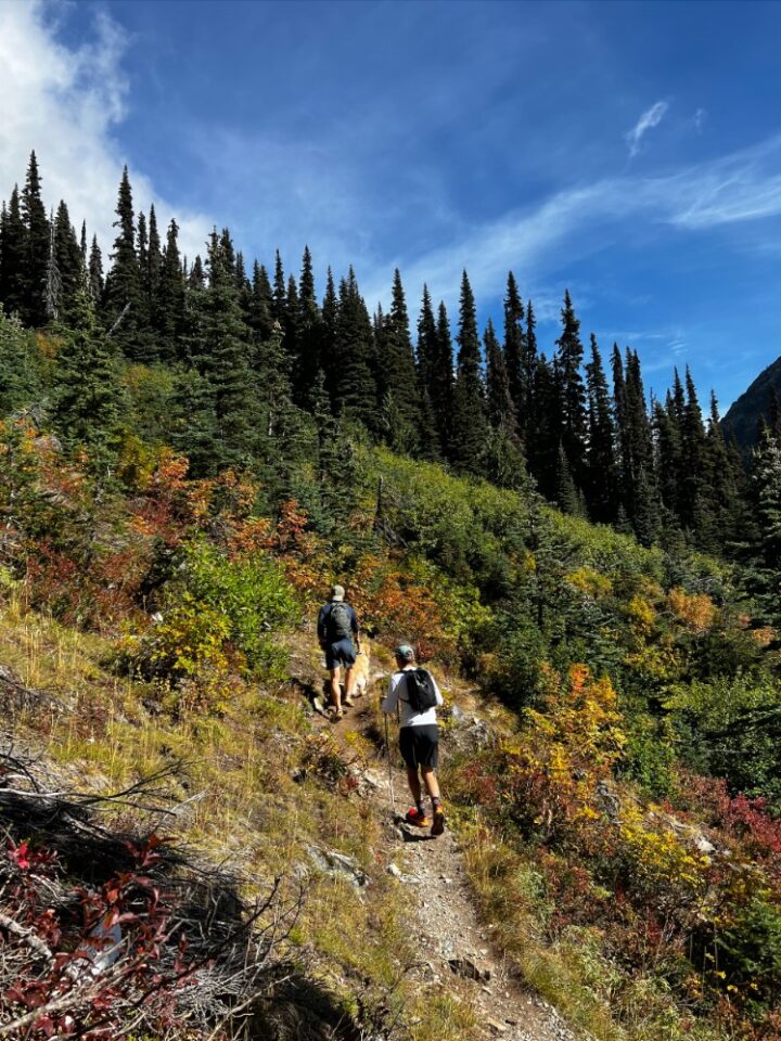 Hiking in Pemberton, British Columbia: 7 Epic Trails