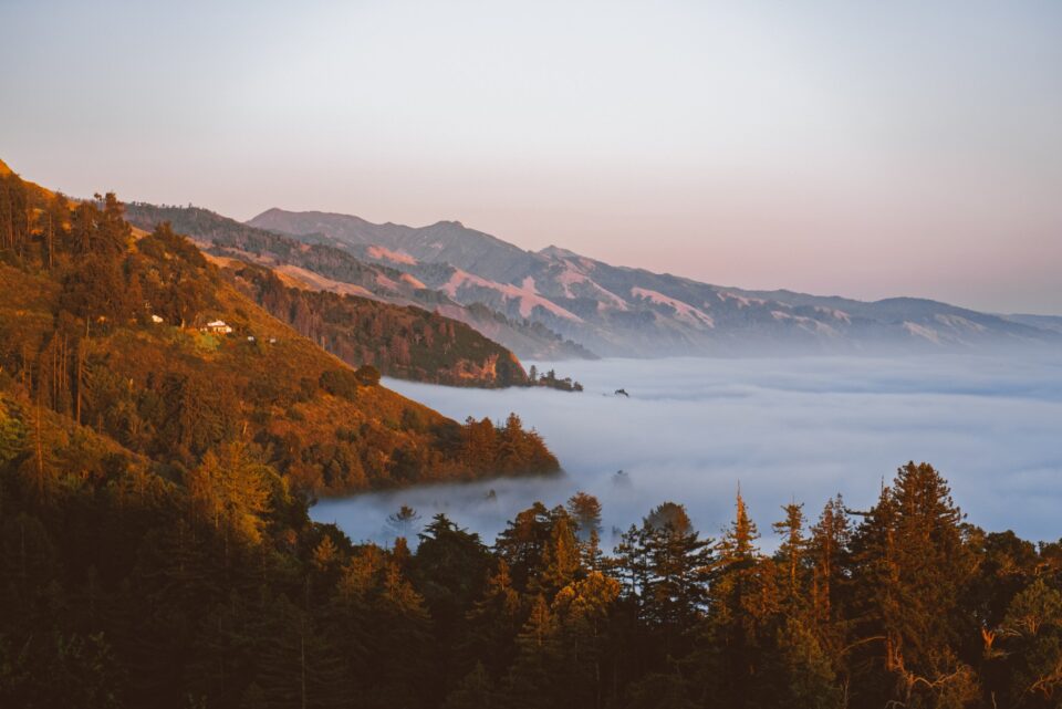 The Ultimate Big Sur Day Trip Itinerary - Voyage & Venture